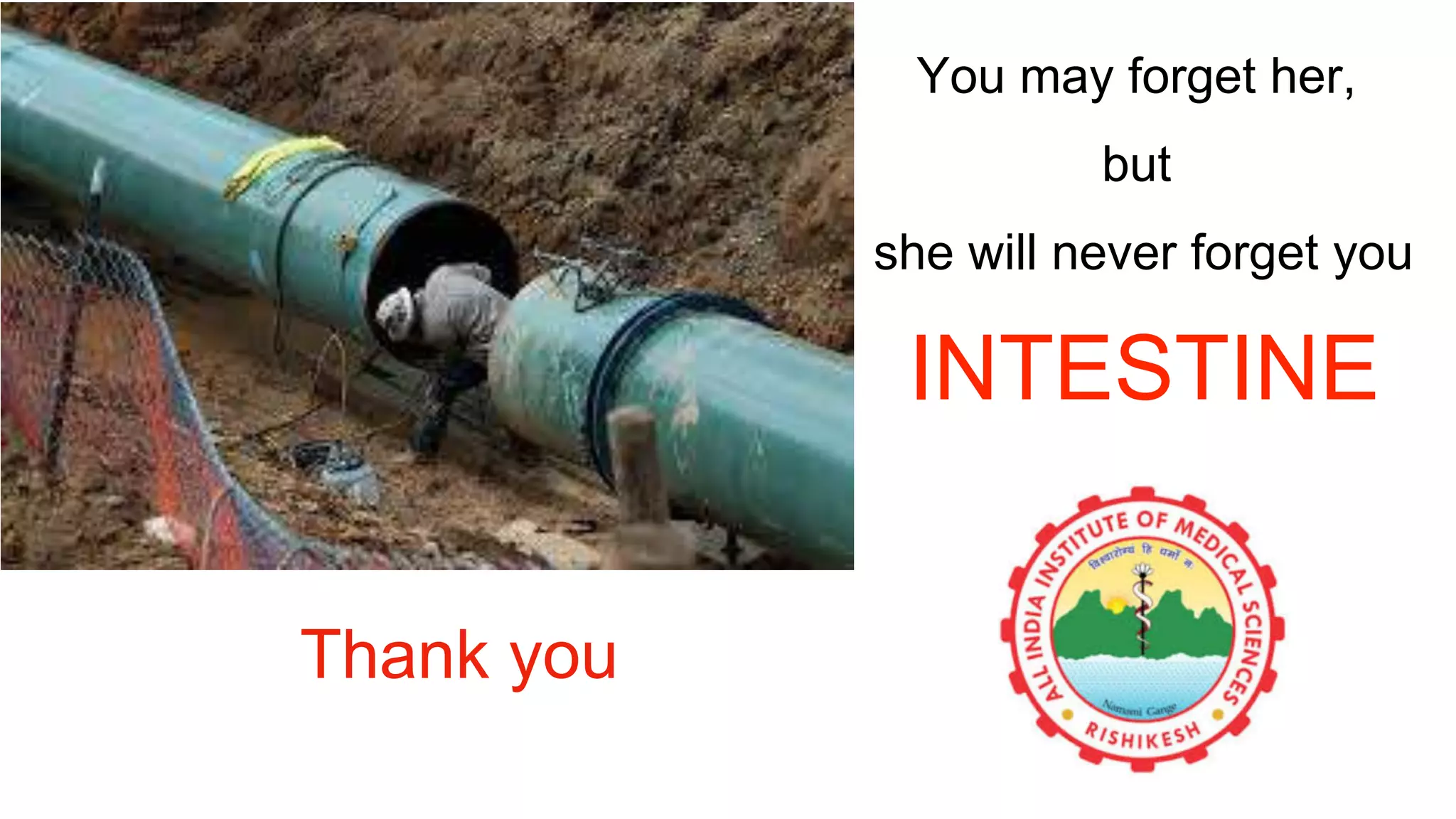 AAST grading - Bowel/Intestinal Injury | PPTX