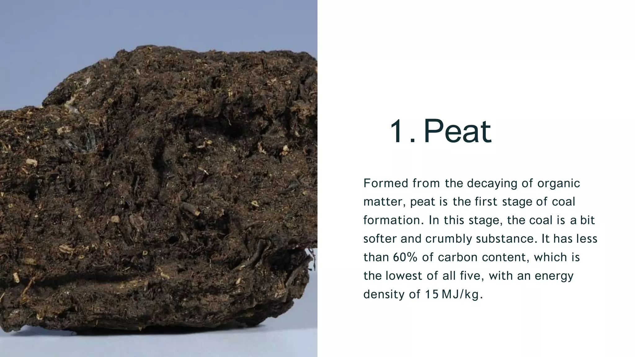 Aastha Group Mohit Aggarwal - Understanding Different Types of Coal | PPTX