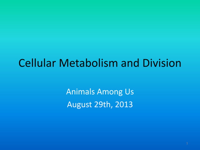 Introduction to Zoology Lecture 2 | PPT