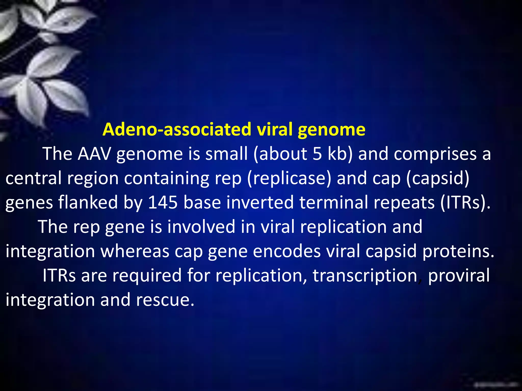 Adeno-associated vector | PPTX