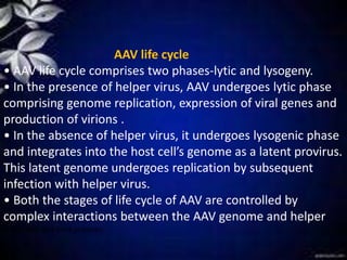 Adeno-associated vector | PPTX