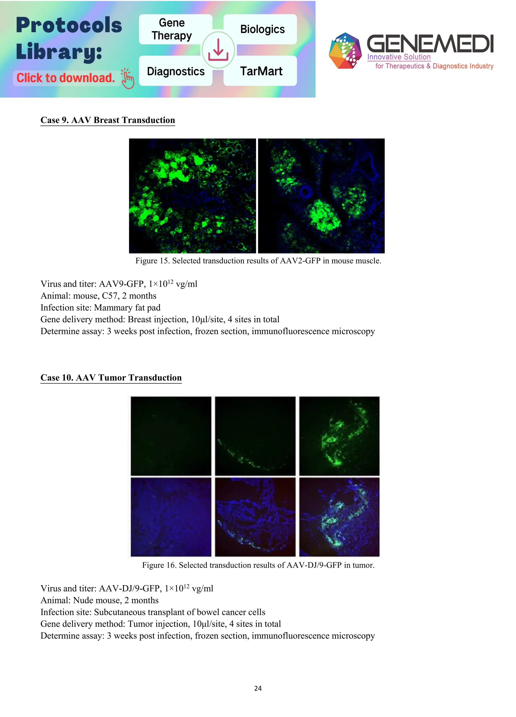 AAV User Manual - Comprehensive Guide for Operation & Maintenance | PDF