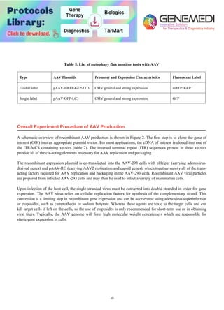AAV User Manual - Comprehensive Guide for Operation & Maintenance | PDF