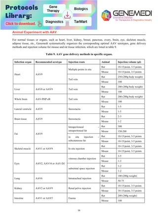 AAV User Manual - Comprehensive Guide for Operation & Maintenance | PDF