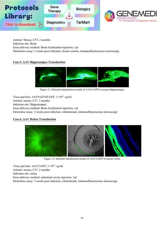 AAV User Manual - Comprehensive Guide for Operation & Maintenance | PDF