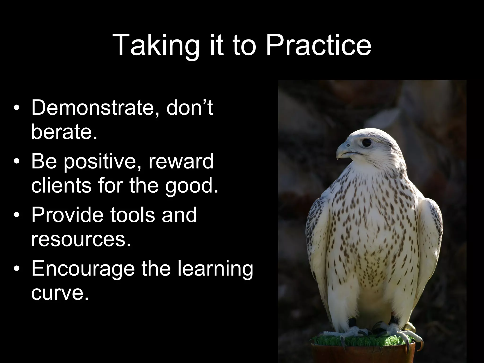 Raptor Body Language and ABA | PPT | Birds | Pets