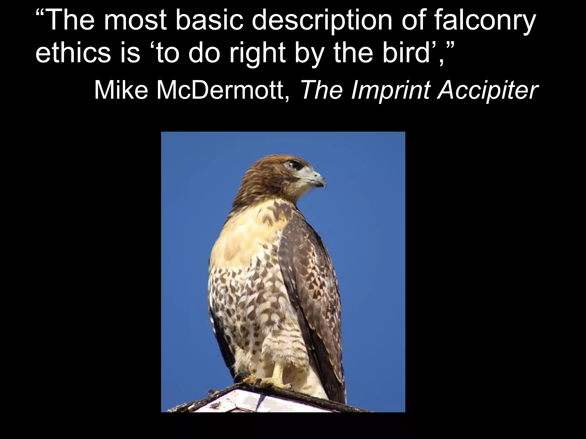 Raptor Body Language and ABA | PPT | Birds | Pets