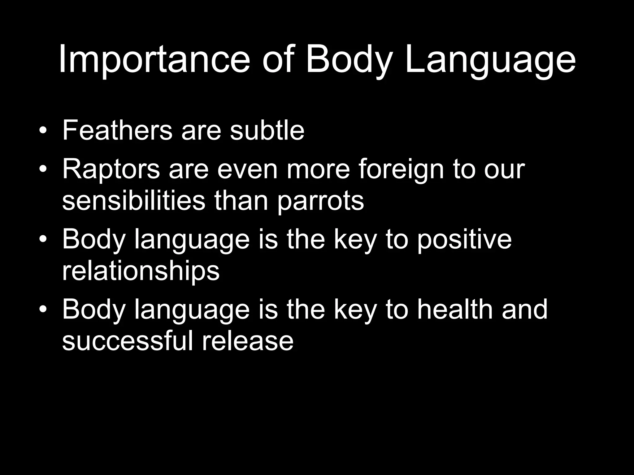 Raptor Body Language and ABA | PPT | Birds | Pets