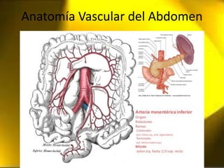 Abdomen agudo vasculo-oclusivo | PPTX
