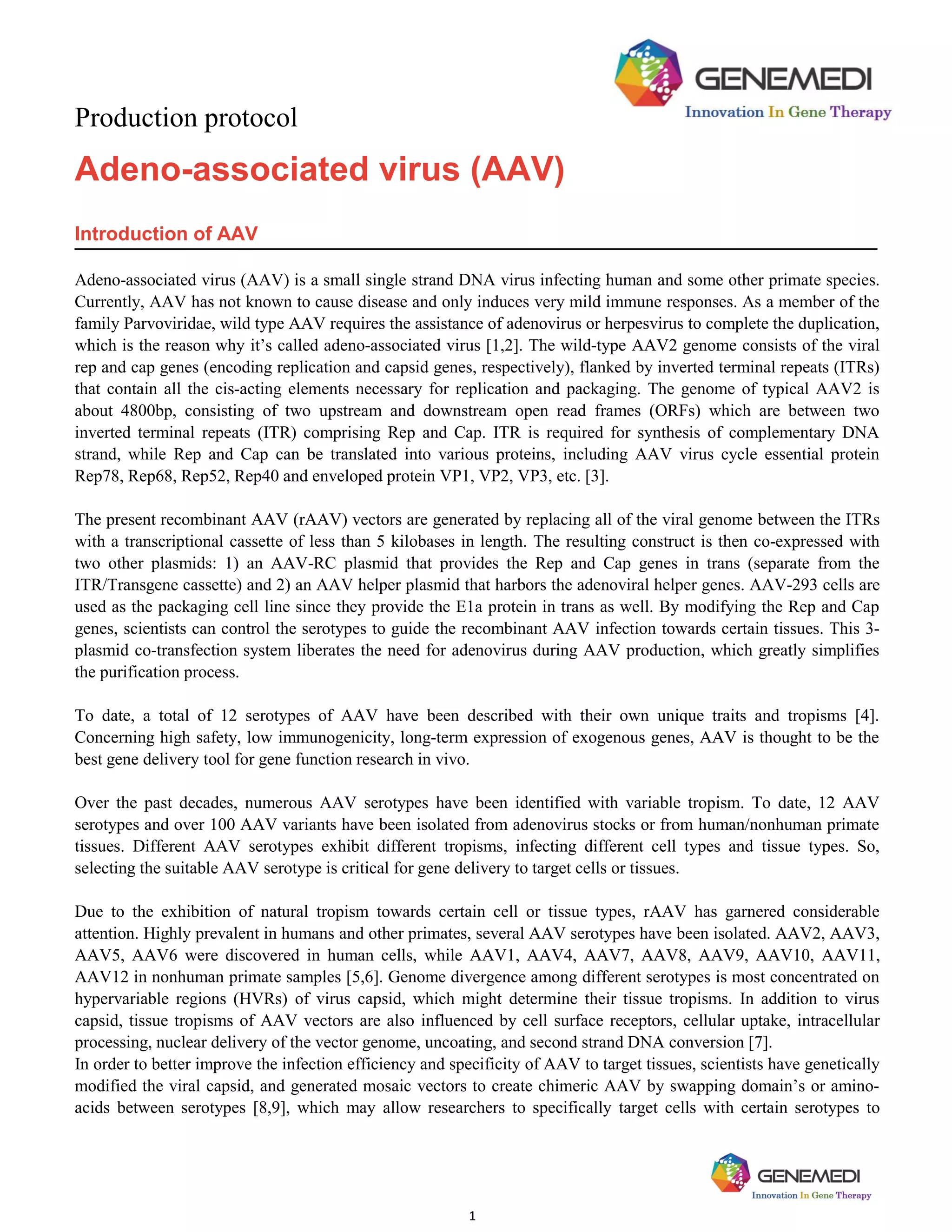 AAV production protocol:packaging,concentration and purification-gene medi | PDF