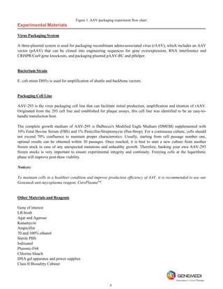 AAV production protocol:packaging,concentration and purification-gene medi | PDF