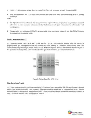 AAV production protocol:packaging,concentration and purification-gene ...