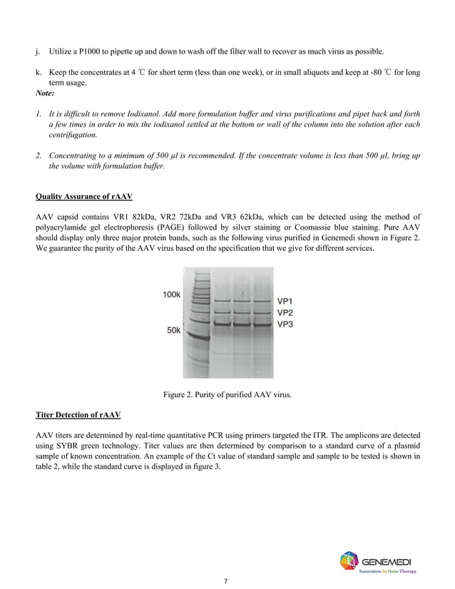 AAV production protocol:packaging,concentration and purification-gene medi | PDF