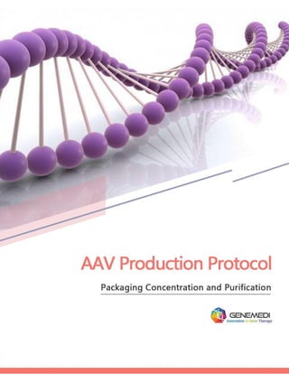 Aav production protocol-packaging_concentration_and_purification-gene ...
