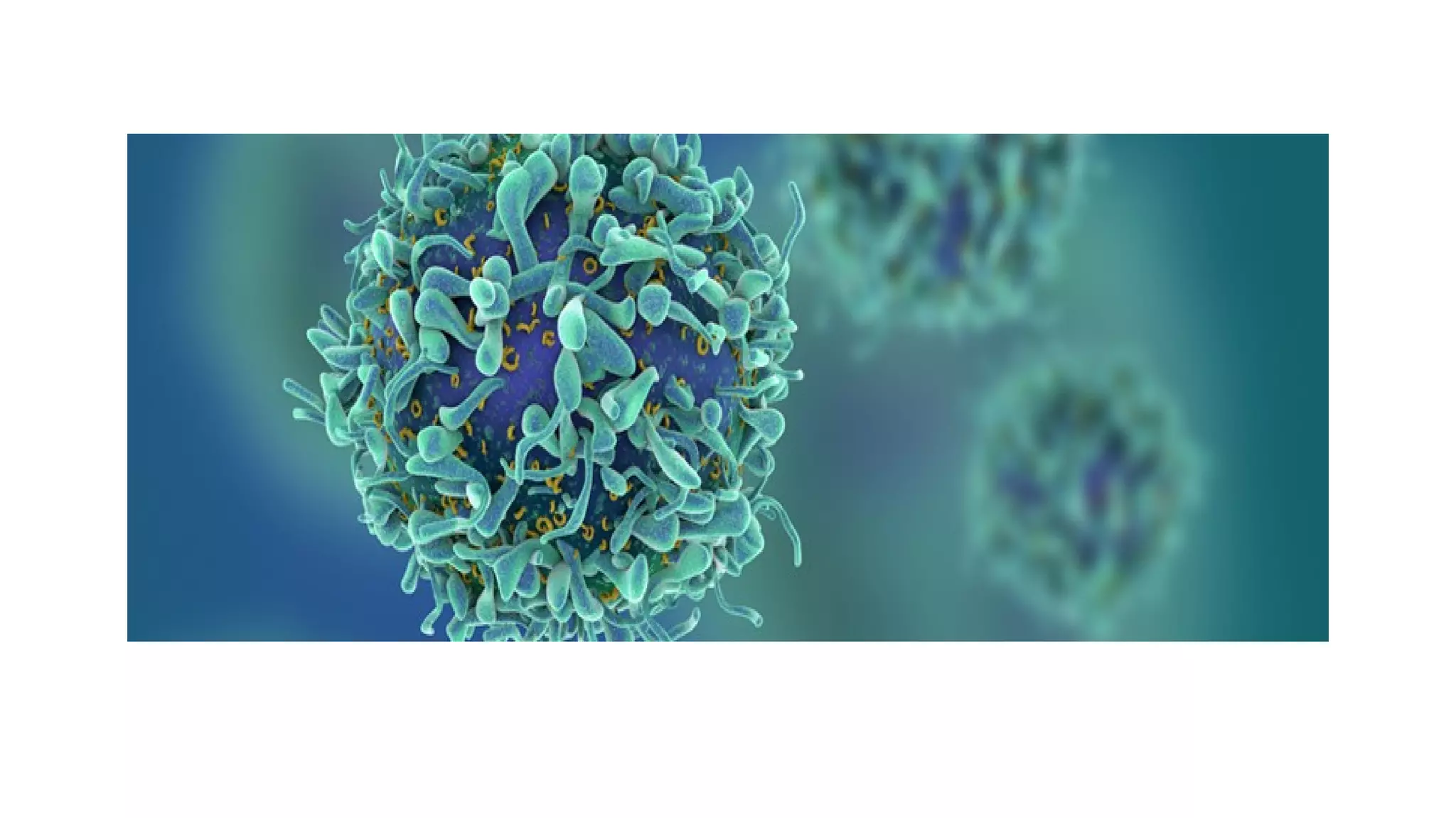 Aav virus particle | PPT