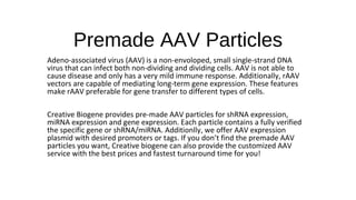Aav virus particle | PPT