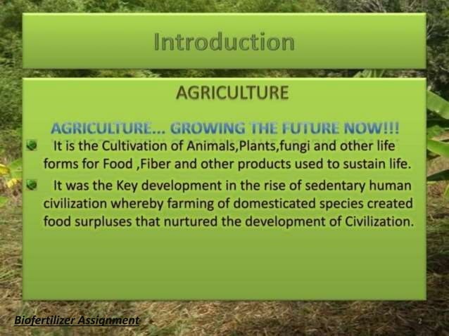 Aayush 099 Biofertilizer ppt.pptx