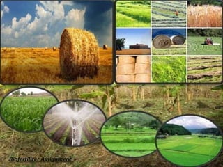 Aayush 099 Biofertilizer ppt.pptx