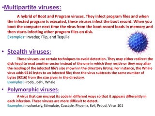 Computer Viruses | PPT