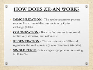 zeolite anammox process st cloud 081516 | PDF