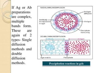 Antigen-Antibody Reaction (Ab Ag Reaction) | PPTX | Chemistry | Science
