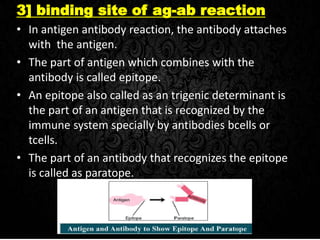Antigen-Antibody Reaction (Ab Ag Reaction) | PPTX | Chemistry | Science