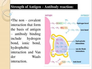 Antigen-Antibody Reaction (Ab Ag Reaction) | PPTX | Chemistry | Science