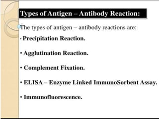 Antigen-Antibody Reaction (Ab Ag Reaction) | PPTX | Chemistry | Science