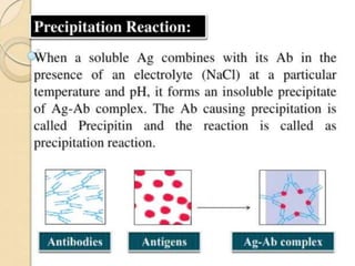 Antigen-Antibody Reaction (Ab Ag Reaction) | PPTX | Chemistry | Science
