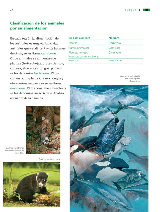 ciencias naturales tercero 2011 a 2012