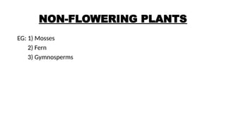 AB 108 PPT CLASSIFICATION OF PLANTS.pptx