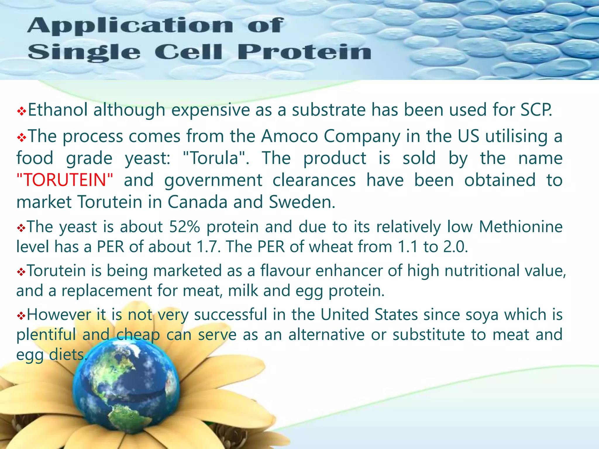 SINGLE CELL PROTEIN | PPT