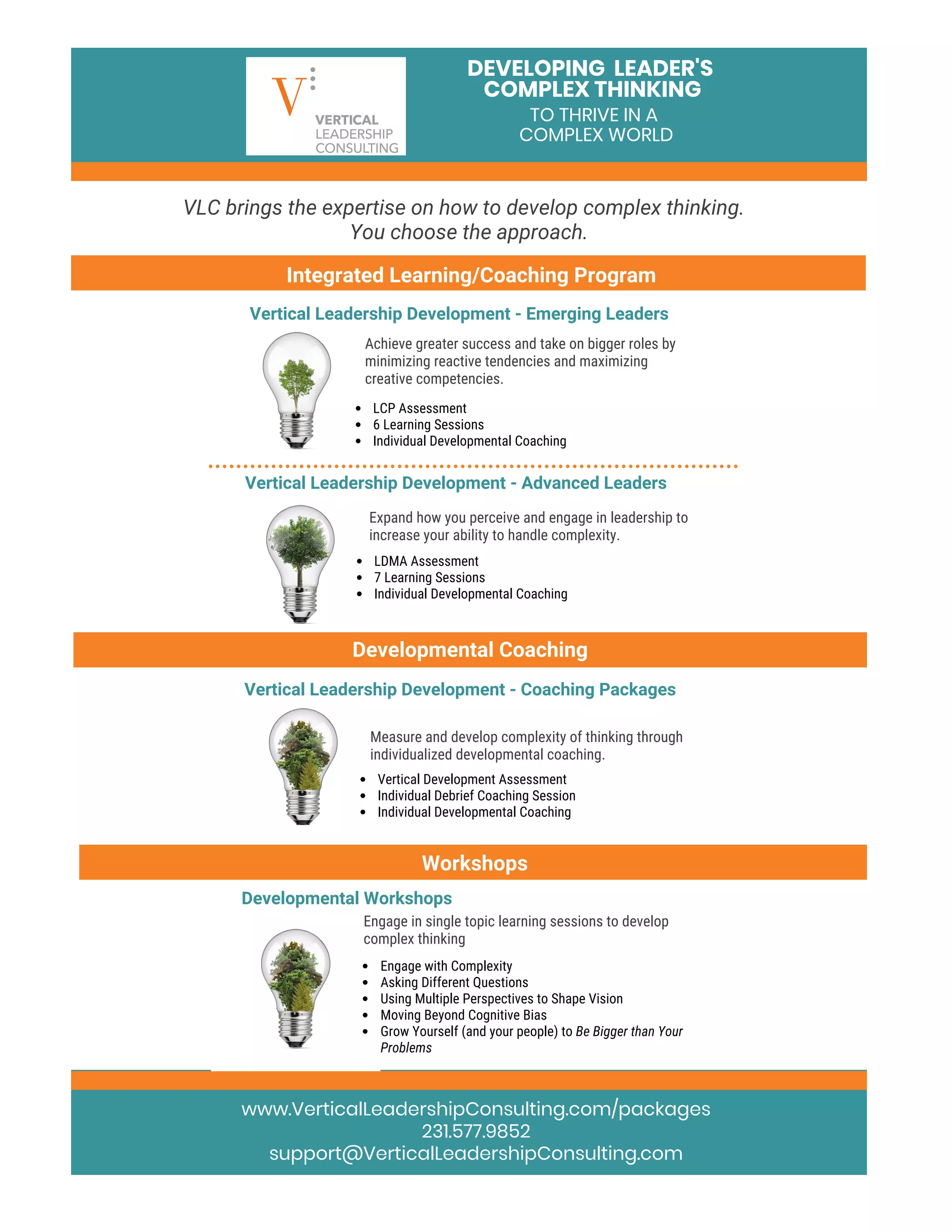 Vertical Leadership Consulting Offerings | PDF