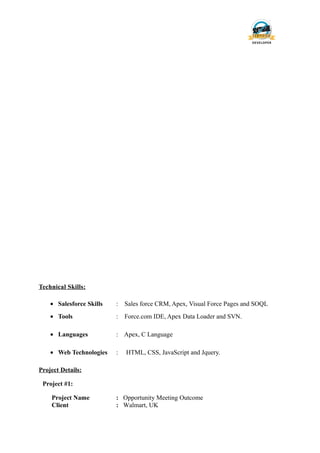 SFDC 3.0 RESUME | DOC | Web Development | Internet