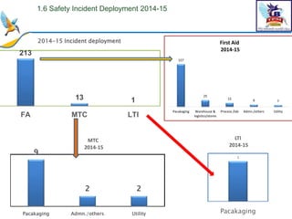 Safety Pillar internal audit | PPTX