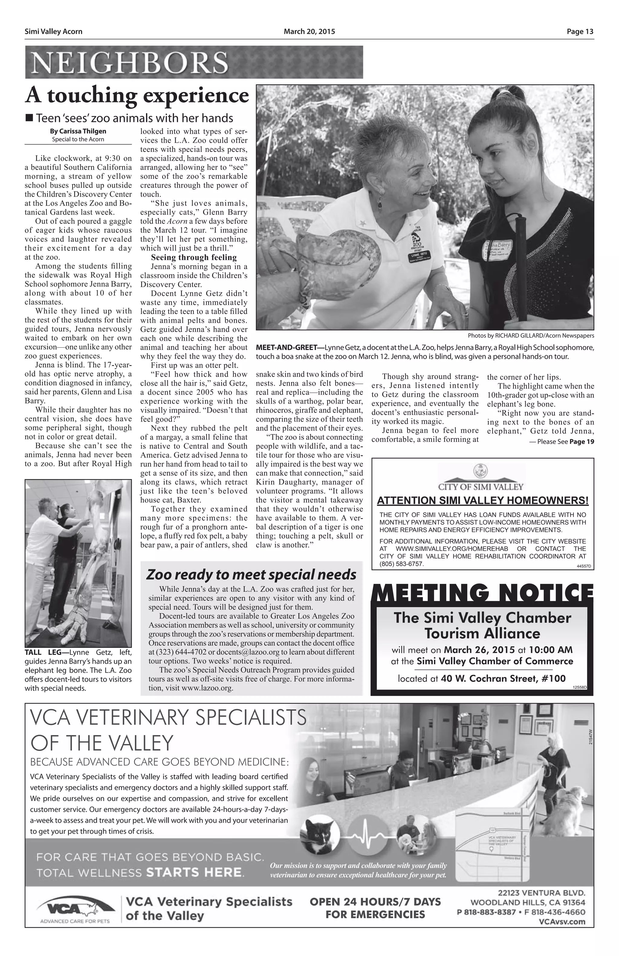 A Touching Experience | PDF | Veterinary Medicine | Pets