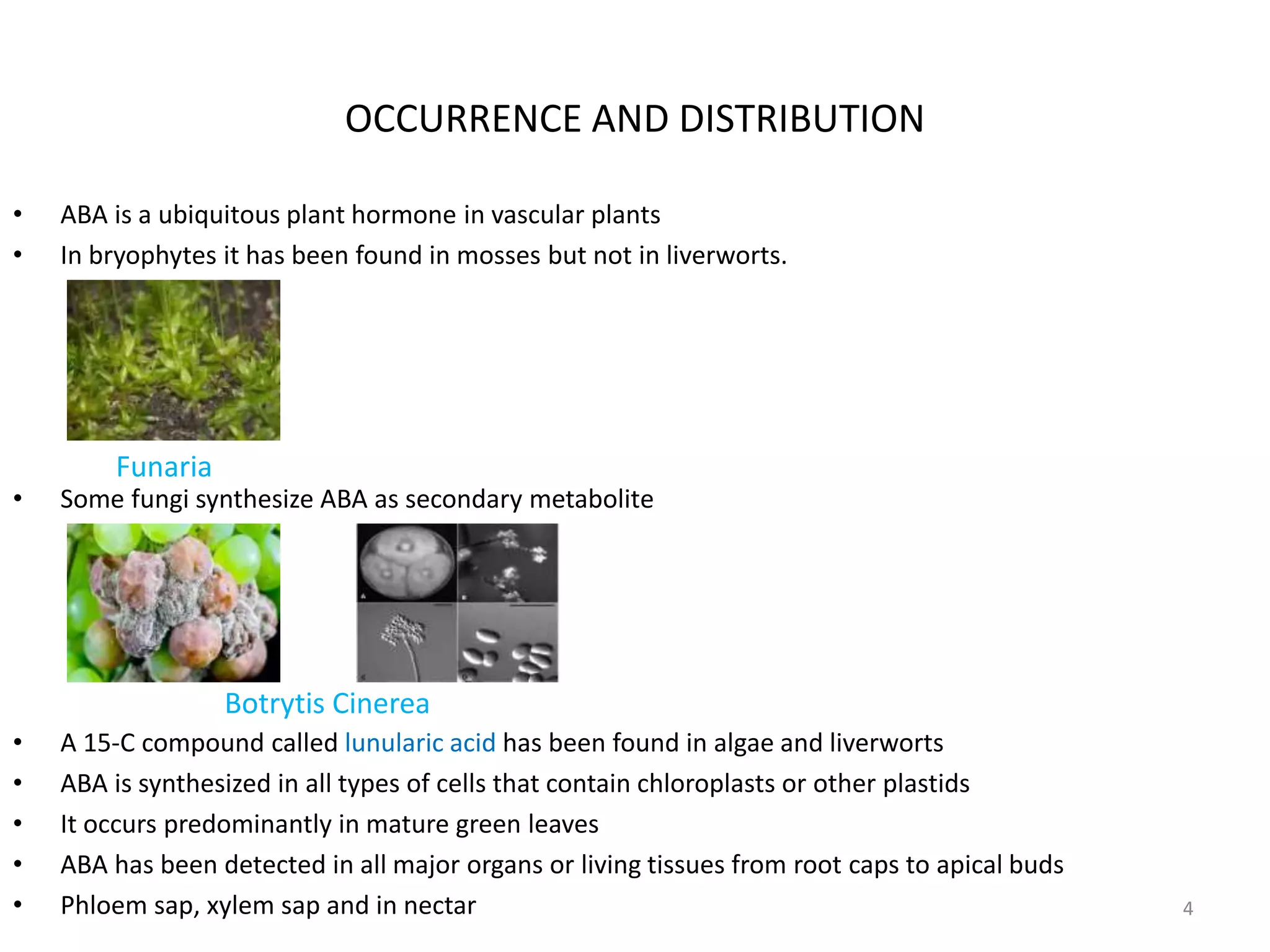 Abscisic acid biosynthesis and function | PPTX