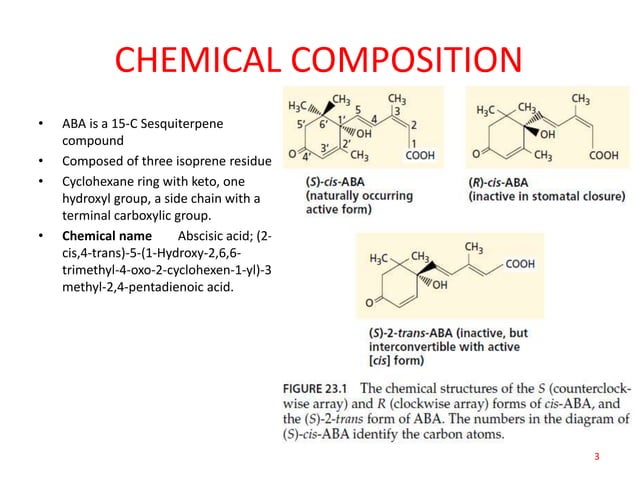 Abscisic acid biosynthesis and function | PPTX | Chemistry | Science