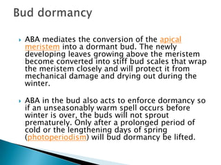 Aba | PDF