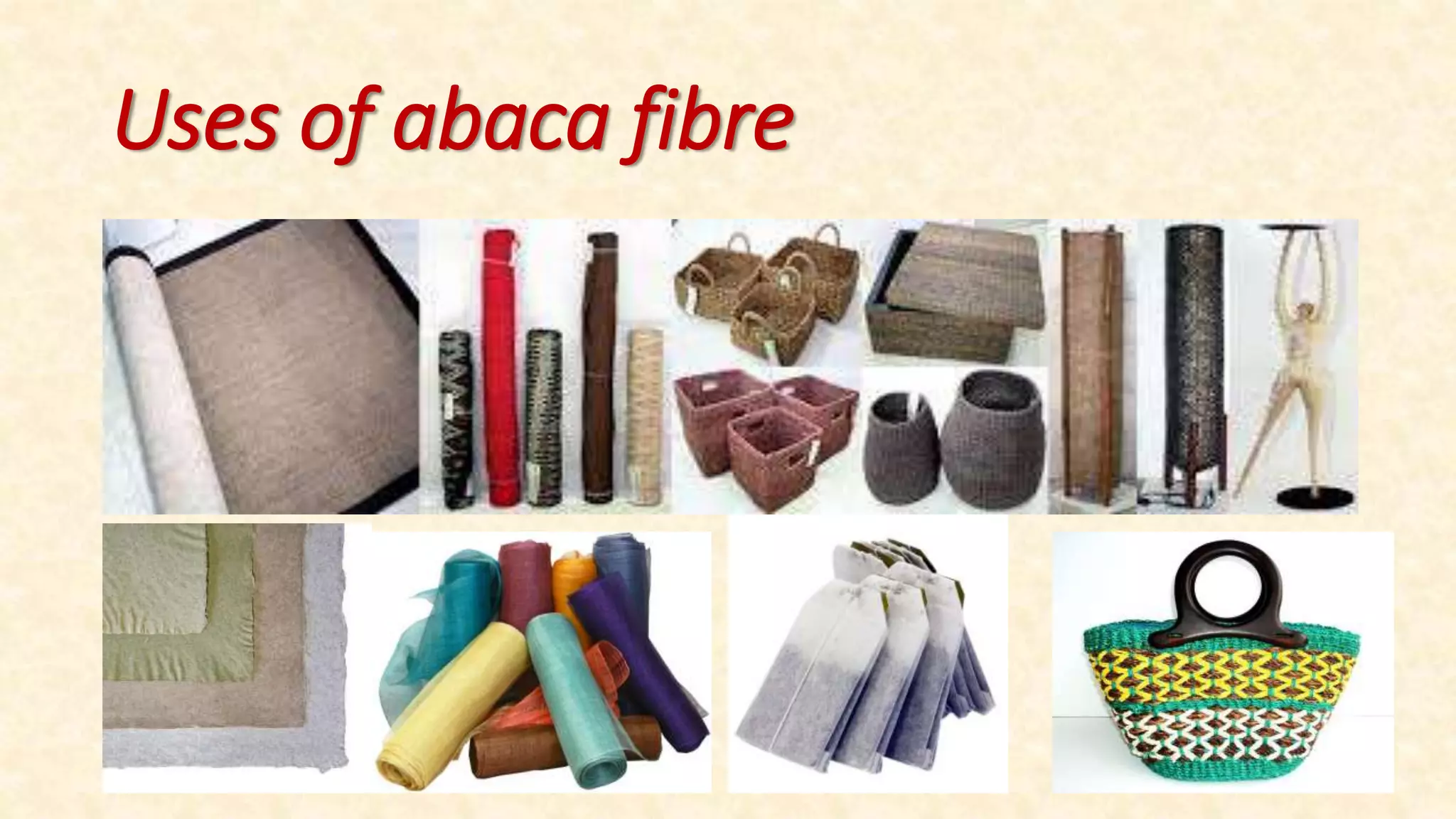 Abaca fibre | PPTX