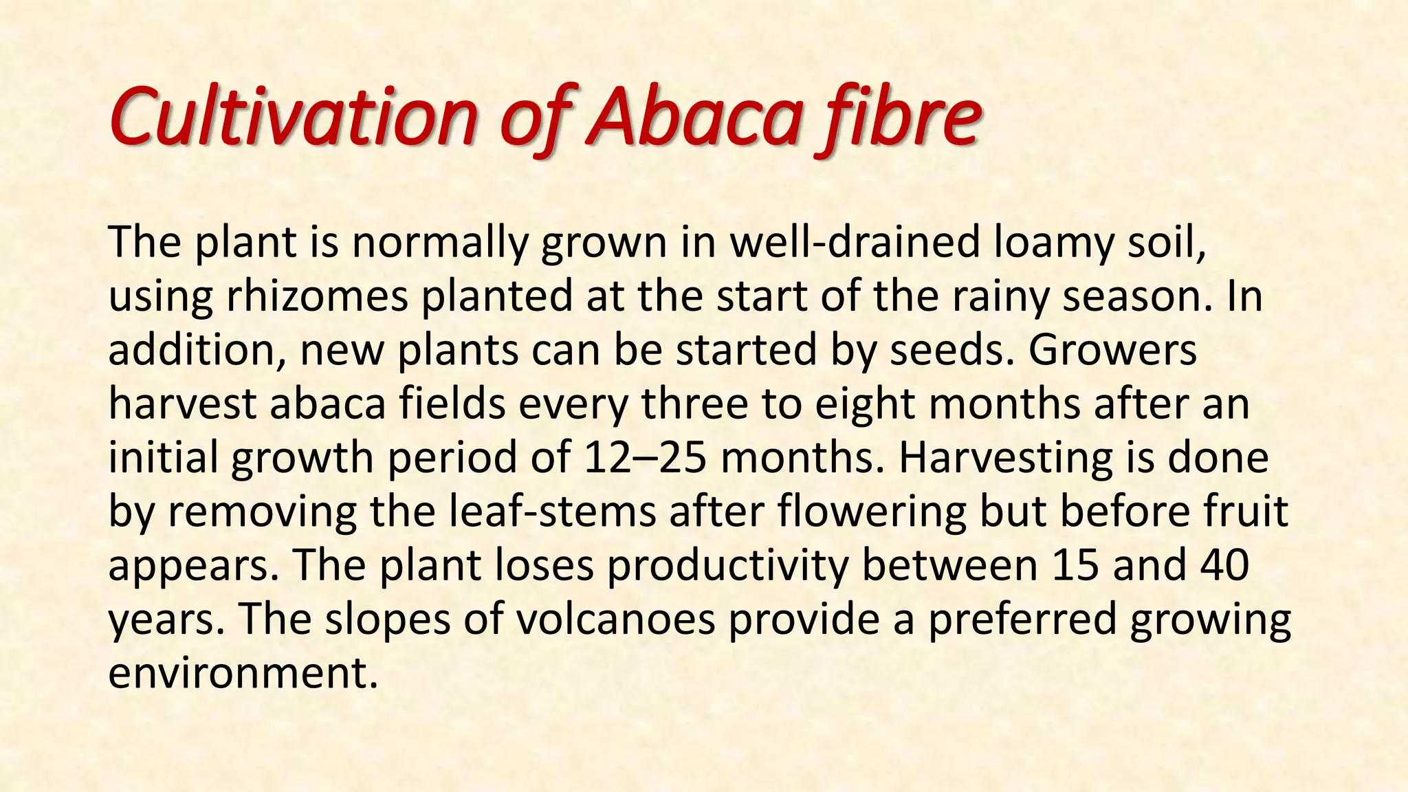 Abaca fibre | PPTX