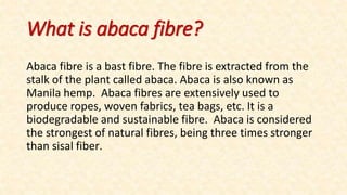 Abaca fibre | PPT