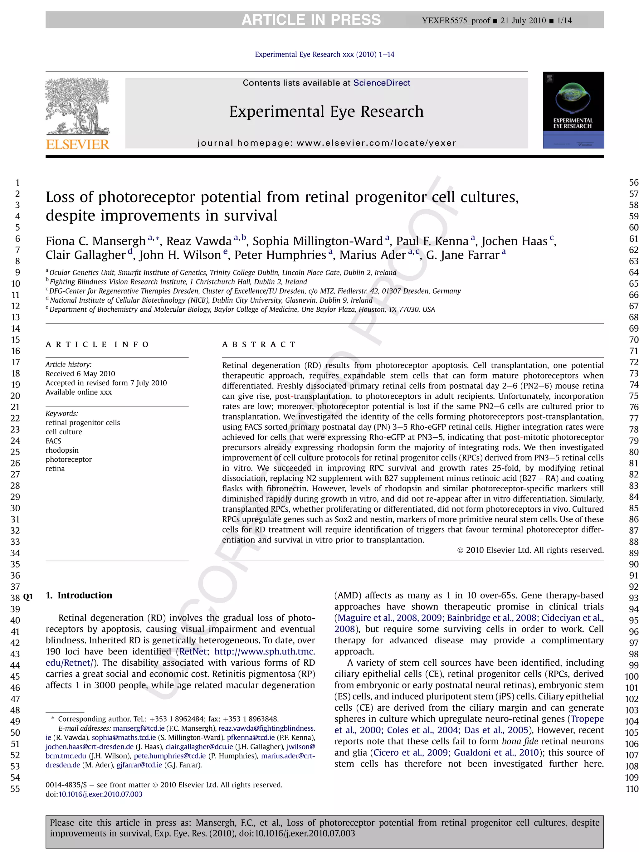 Loss of photoreceptor potential from retinal progenitor cell cultures ...