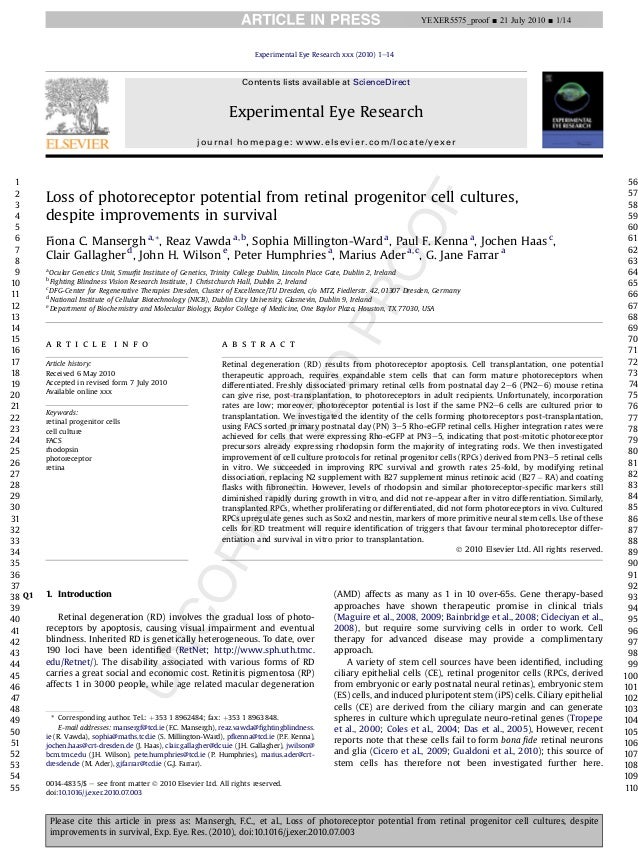 Loss of photoreceptor potential from retinal progenitor cell cultures…