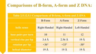 A, b, and z forms of dna | PPTX