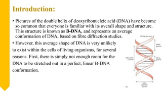 A, b, and z forms of dna | PPTX