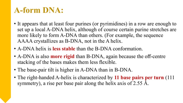 A, b, and z forms of dna | PPTX | Chemistry | Science