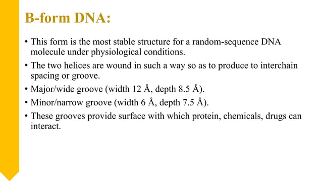 A, b, and z forms of dna | PPTX | Chemistry | Science