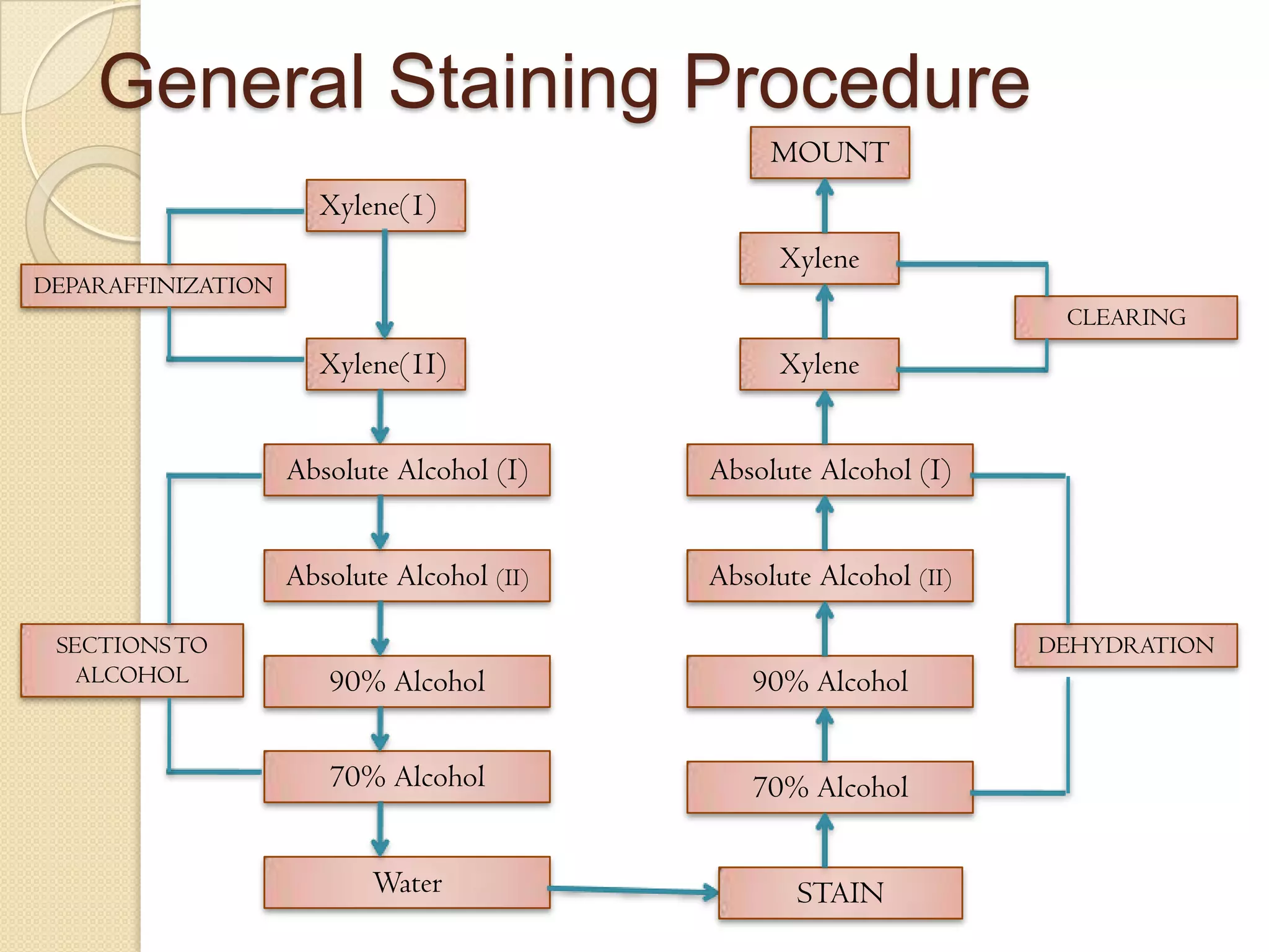 Staining and Collodionization | PPTX