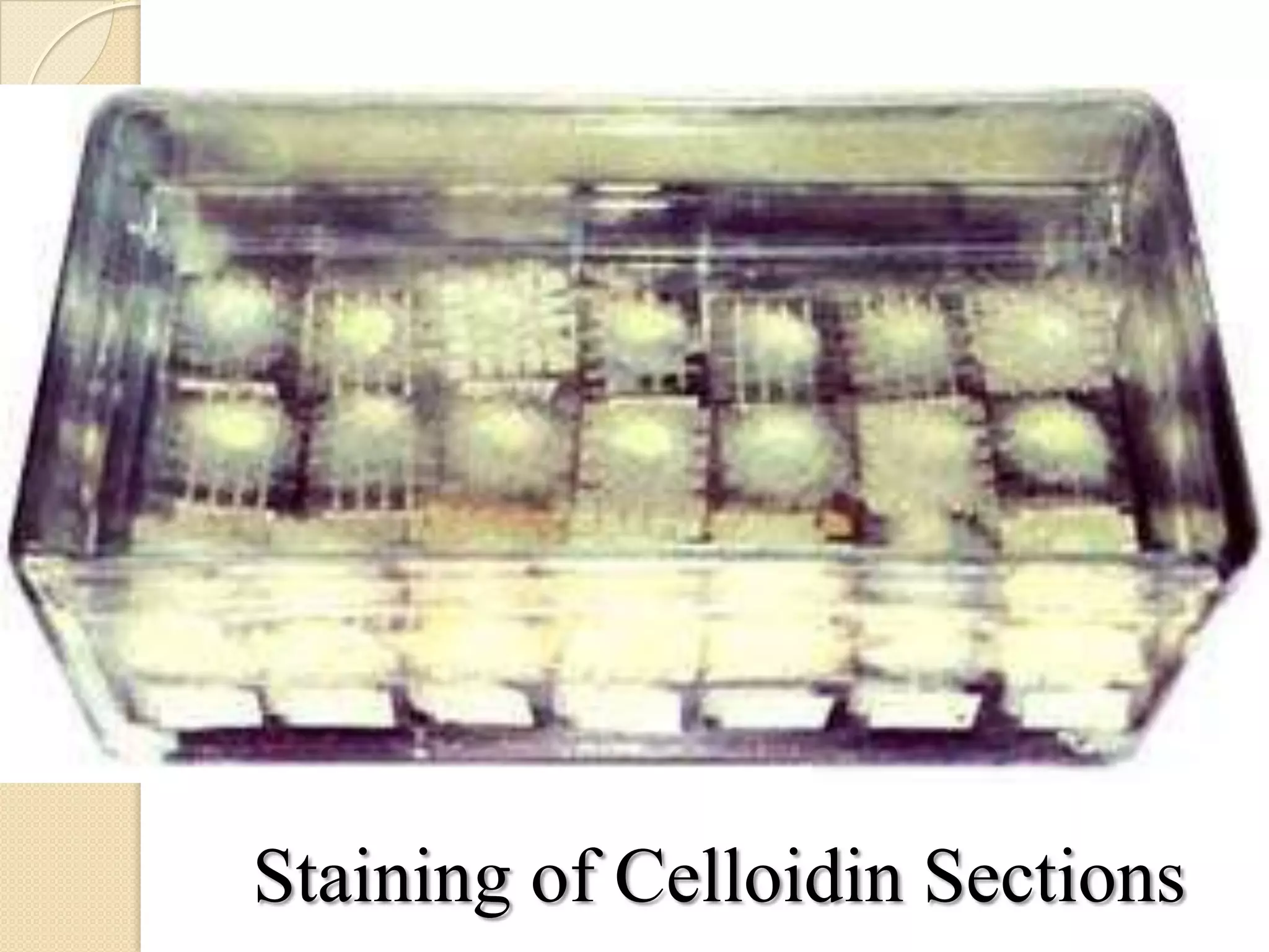 Staining and Collodionization | PPTX
